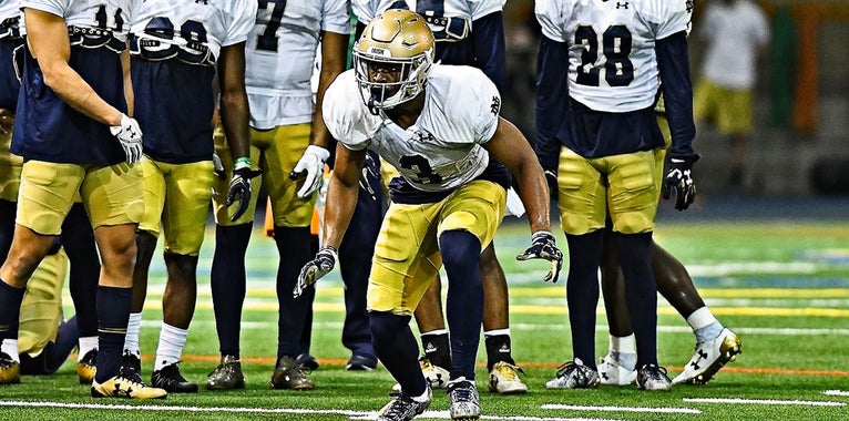 Devin Studstill, Notre Dame, Safety
