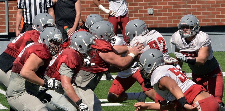Deion Singleton, Washington State, Safety