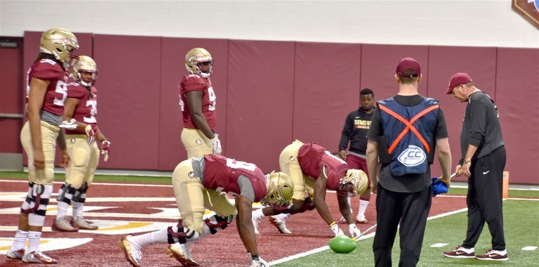 Mark Snyder, Defensive Ends Coach (FB), Florida State Seminoles
