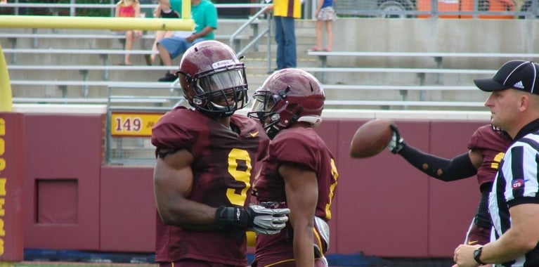 James Manuel, Minnesota, Outside Linebacker