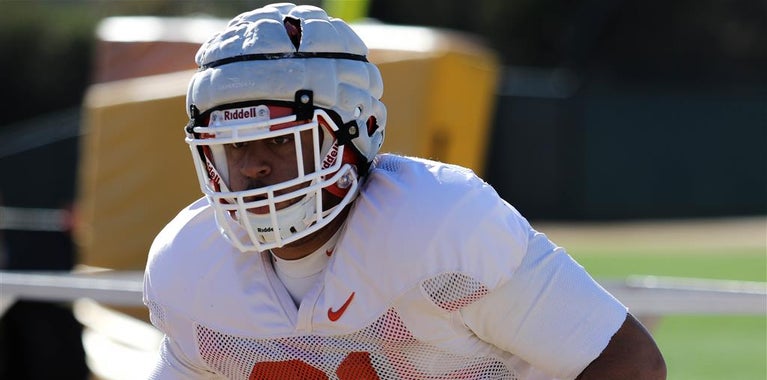 Josh Watson, Clemson, Defensive Tackle